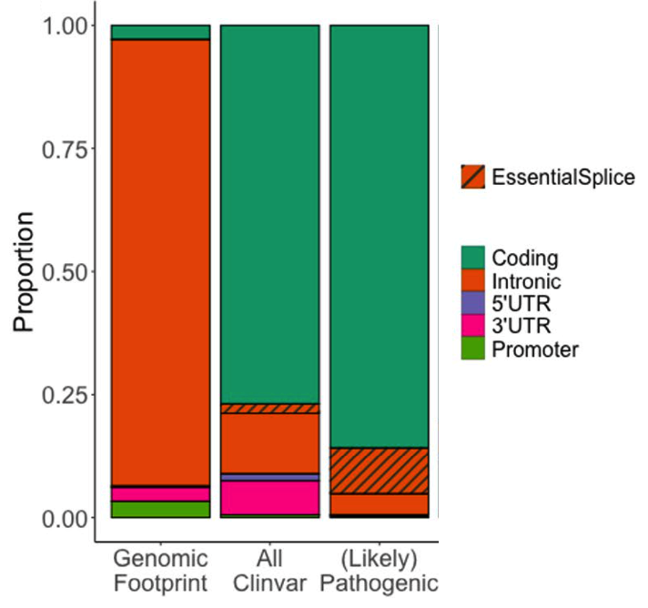 Narrowing the Search for Disease-Relevant Noncoding Variants - KidsGenomics